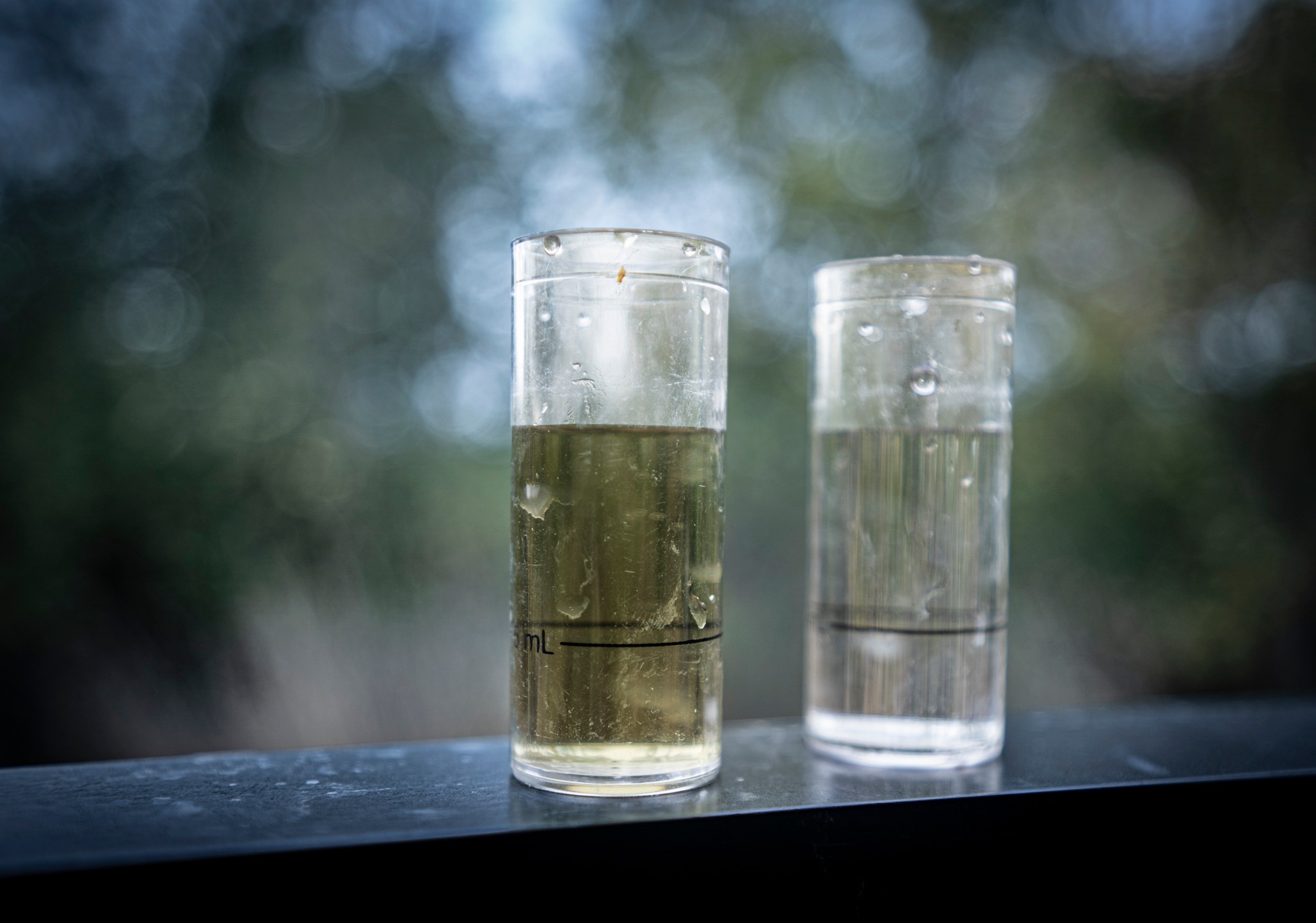 Víz Világnapja – Tisztaság cseppről cseppre… | Szentesi Mozaik